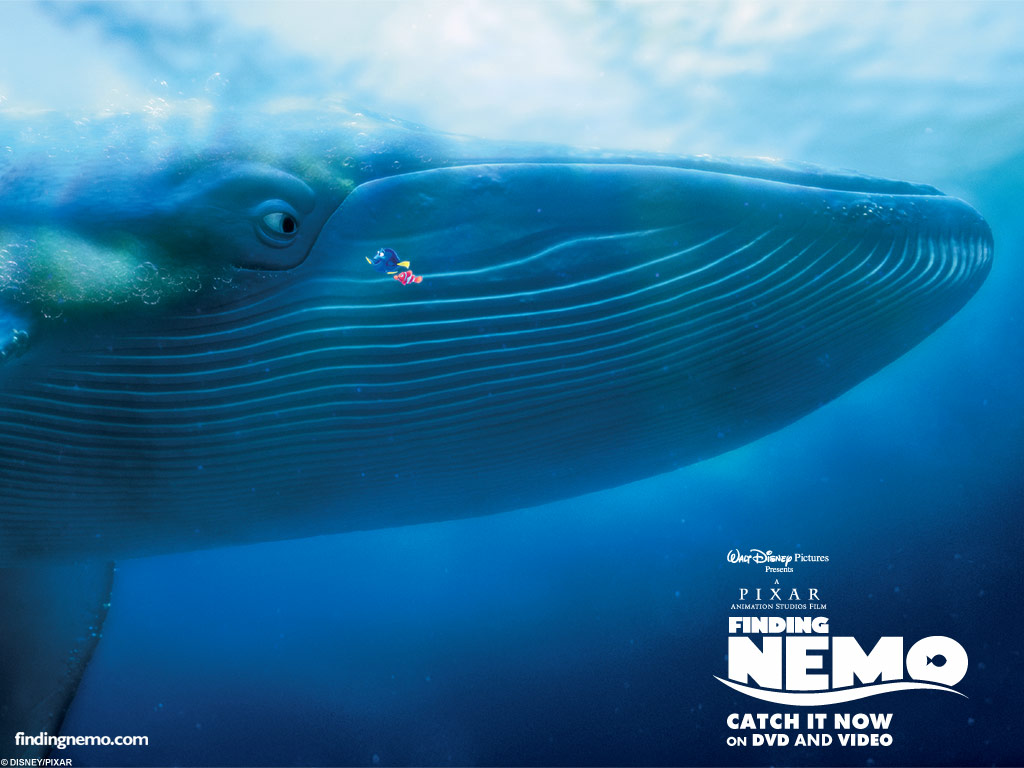 Lo que «Buscando a Nemo» me enseñó acerca de la fe – Natacha R. Glorvigen